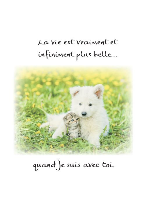 Carte de souhait à texte - Tu comptes pour moi – La mèche verte